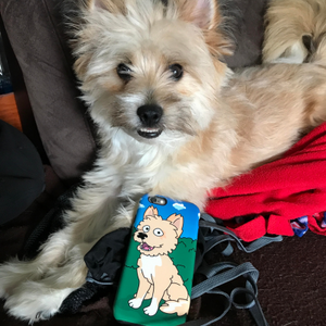 Custom Galaxy S24 Ultra Cases - Design Your Own Case